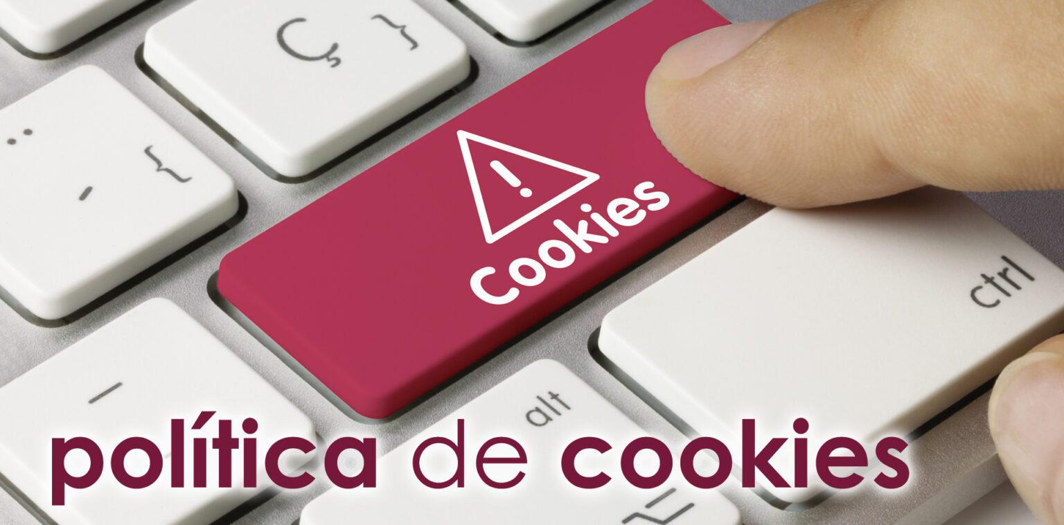 Cómo 【 SABER 】 qué tipo de COOKIES usa mi web